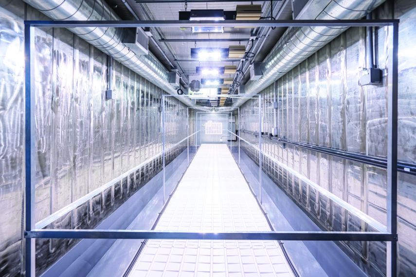 Custom Builds – Shipping Container Farms