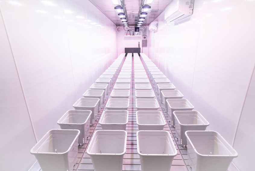 Custom Builds – Shipping Container Farms