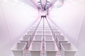 GP Home 22 – Shipping Container Farms