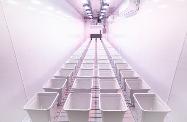 Shipping Container Farms – Vertical Farming Systems & More Using Indoor ...