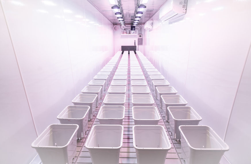 Shipping Container Farms – Vertical Farming Systems & More Using Indoor ...