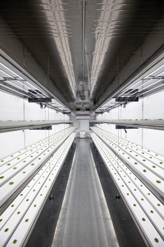 GrowPod Provides Solutions to Help Feed Earth’s Growing Population ...