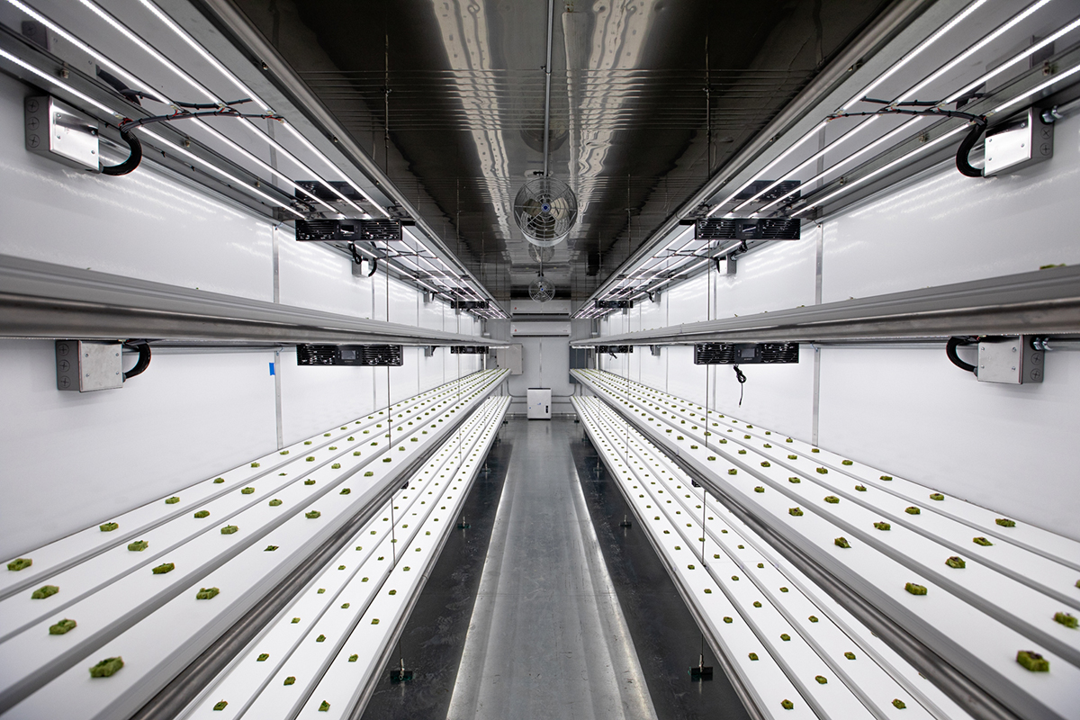 CNN – Indoor Farming is “The Future of Agriculture” – Shipping ...