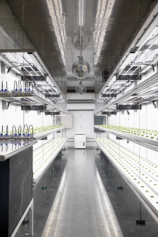 Could the Future of Farming Be Urban? – Shipping Container Farms