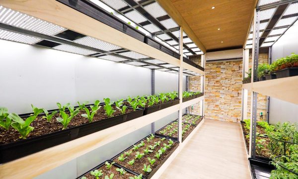Custom Grow Pods – Shipping Container Farms