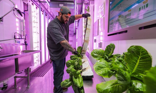 Custom Grow Pods – Shipping Container Farms