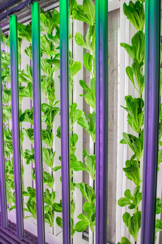 Shipping Container Farms & Modular Grow Rooms | Grow Pod Solutions