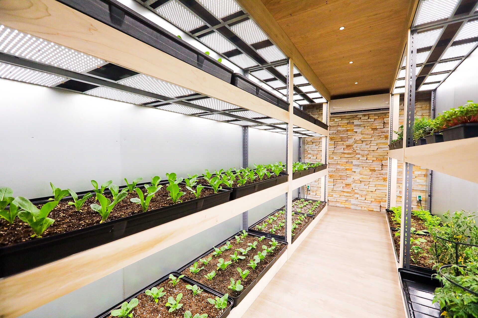 CNN - Indoor Farming is The Future of Agriculture - GP Solutions