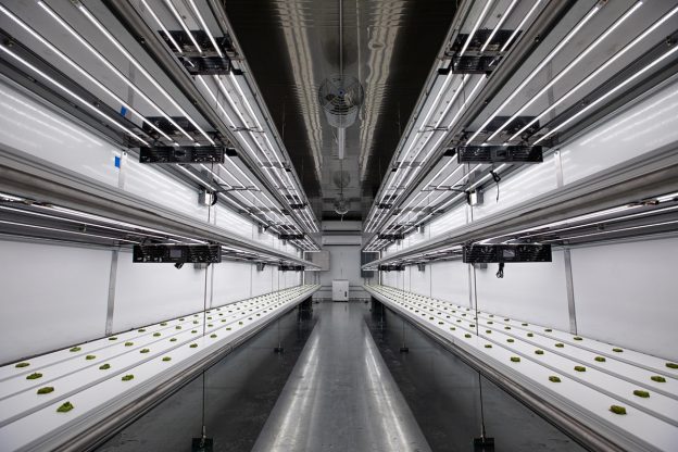 Top 7 Vertical Farming Companies | Grow Pod Solutions