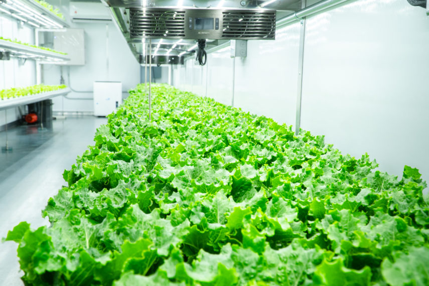 Grow Pods – Shipping Container Farms