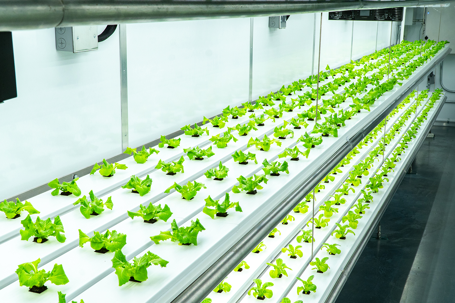 Why Farming Is Moving Indoors | Grow Pod Solutions