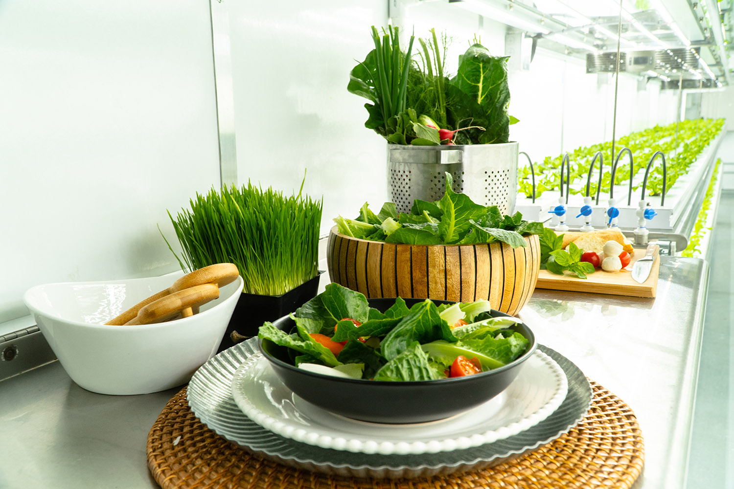 Is Vertical farming the Solution to the World’s Food Crisis? – Shipping ...