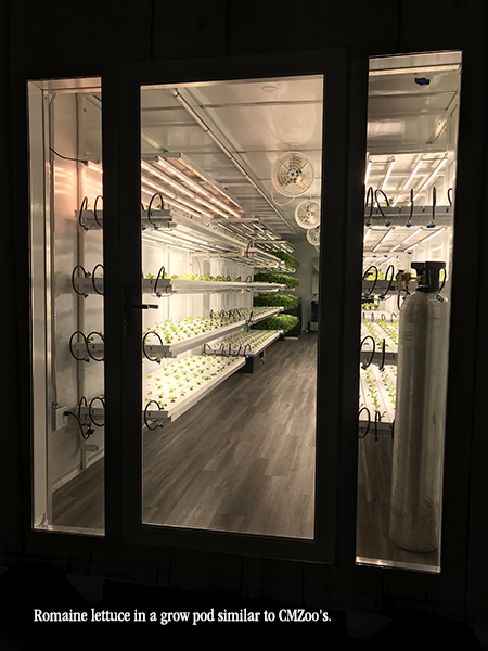 CMZoo Tests Grow Pod as Sustainable On-Site Source for Lettuce