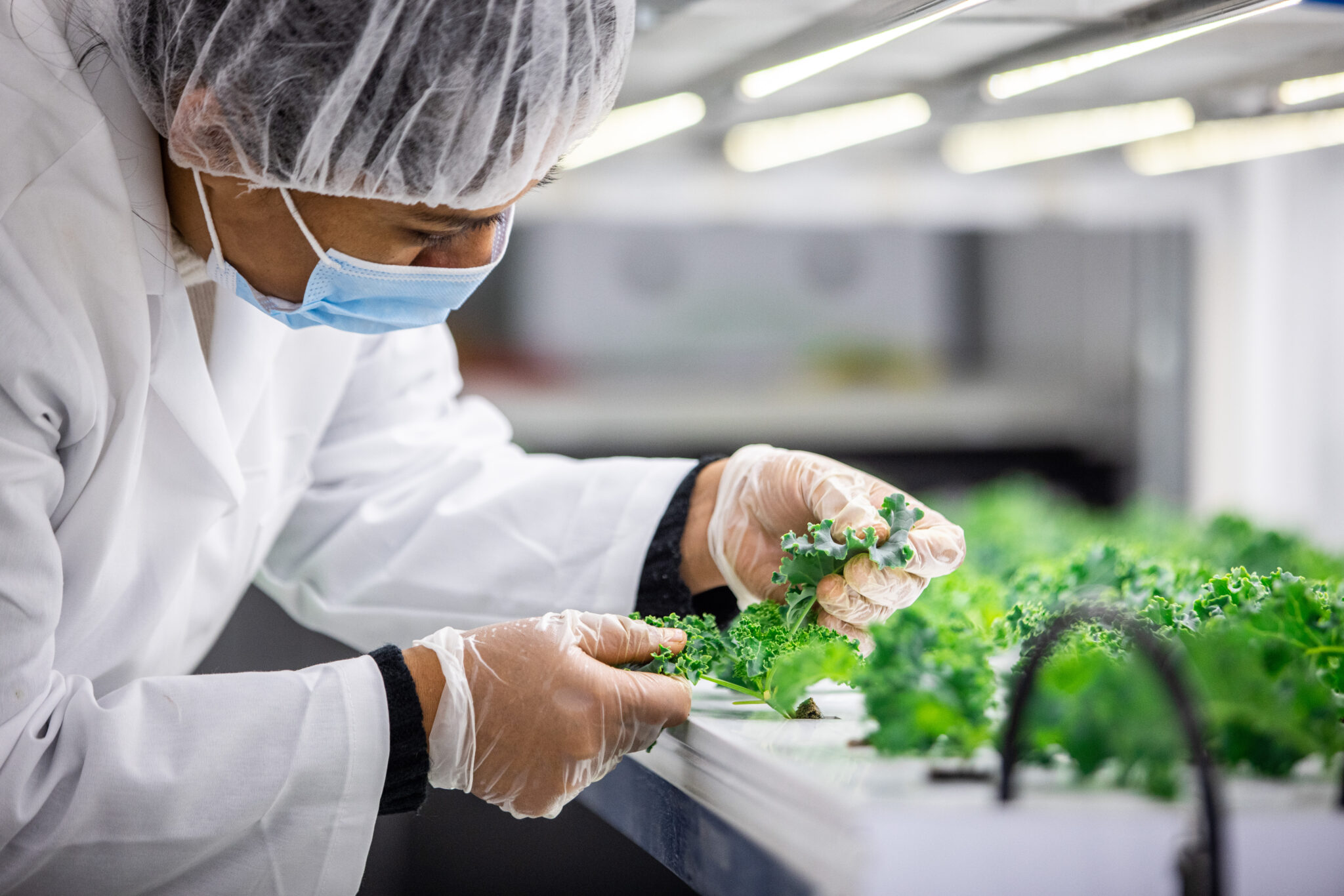 Shipping Container Farms – Vertical Farming Systems & More Using Indoor ...