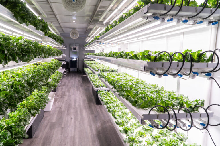 Shipping Container Farms – Vertical Farming Systems & More Using Indoor ...