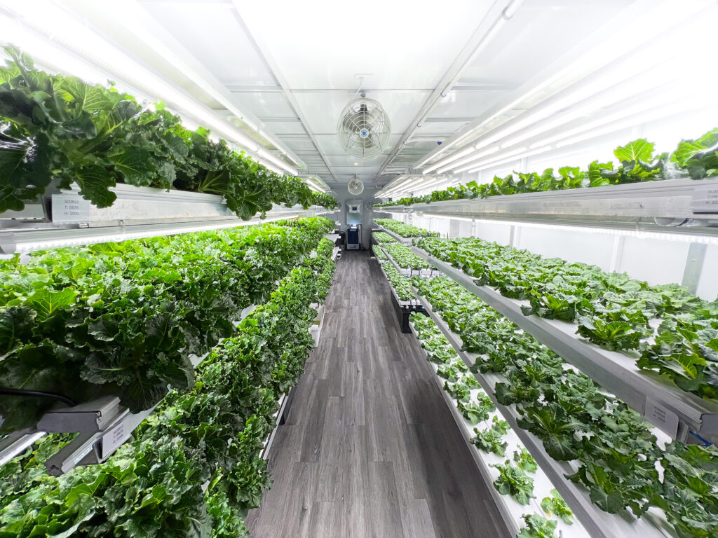 Shipping Container Farms – Vertical Farming Systems & More Using Indoor ...