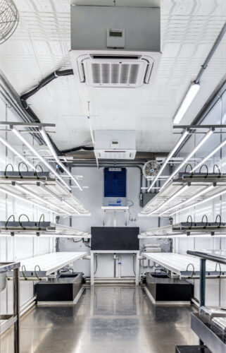 Shipping Container Farms – Vertical Farming Systems & More Using Indoor ...