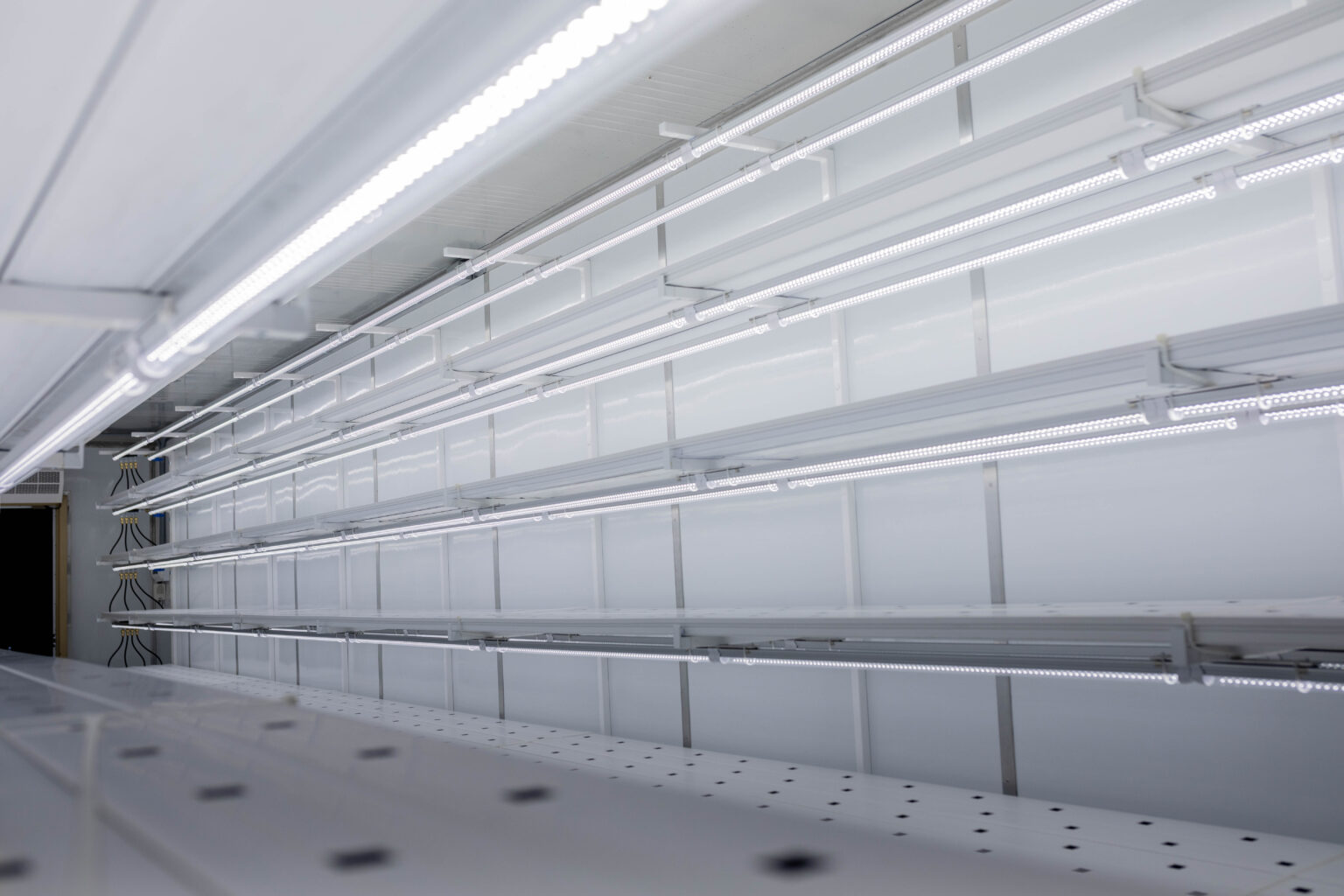 Shipping Container Farms – Vertical Farming Systems & More Using Indoor ...