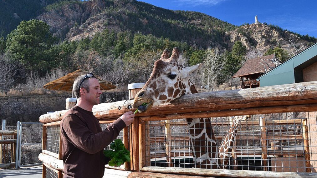 40-Foot Leafy Green Micro Farm – Shipping Container Farms