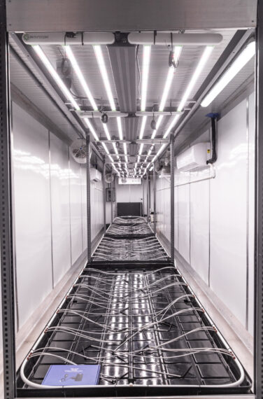 Shipping Container Farms – Vertical Farming Systems & More Using Indoor ...