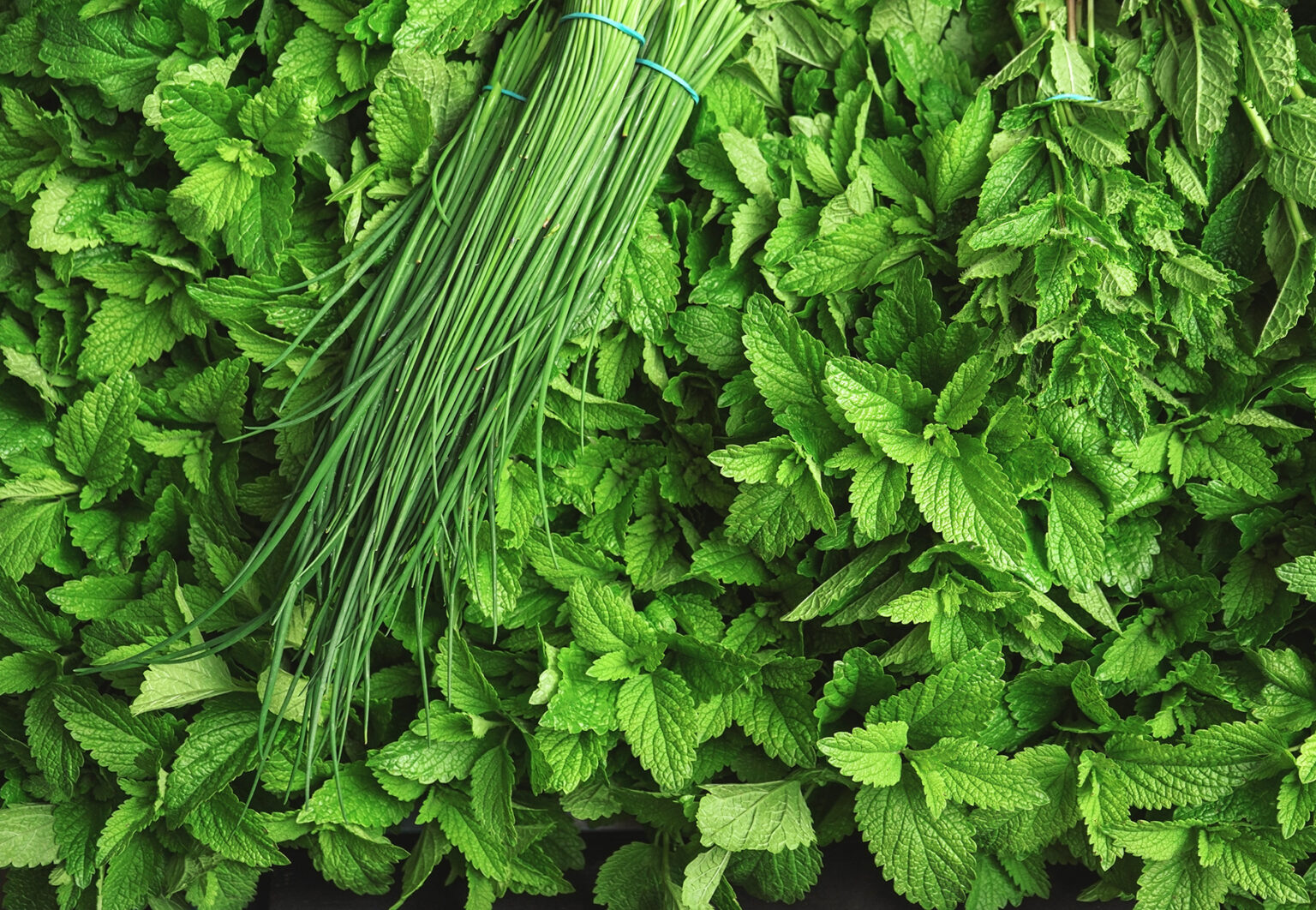 Custom Builds – Shipping Container Farms