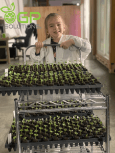 Shipping Container Farms – Vertical Farming Systems & More Using Indoor ...