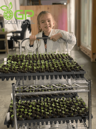 Shipping Container Farms – Vertical Farming Systems & More Using Indoor ...