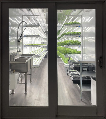Shipping Container Farms – Vertical Farming Systems & More Using Indoor ...