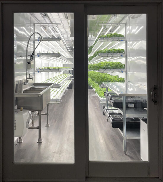 Shipping Container Farms – Vertical Farming Systems & More Using Indoor ...